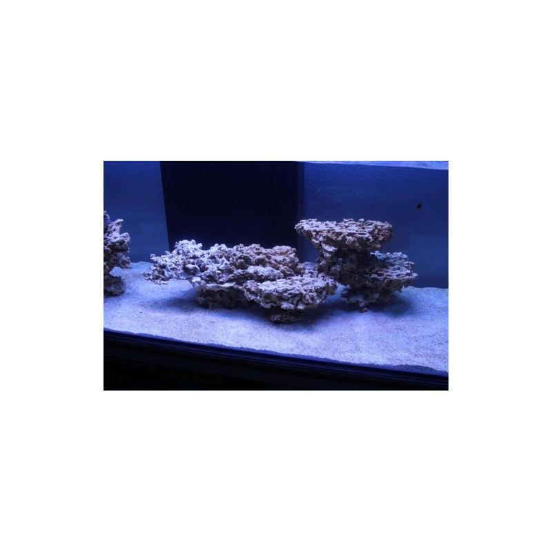 Roca Base South Seas Shelf (caja 40 lb)