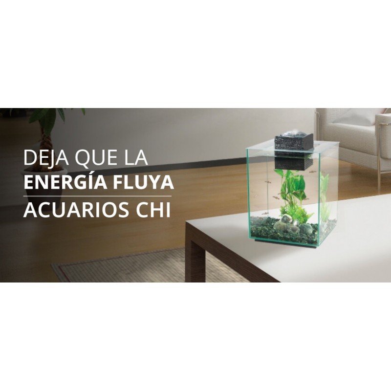 Acuario Fluval Chi 19 litros